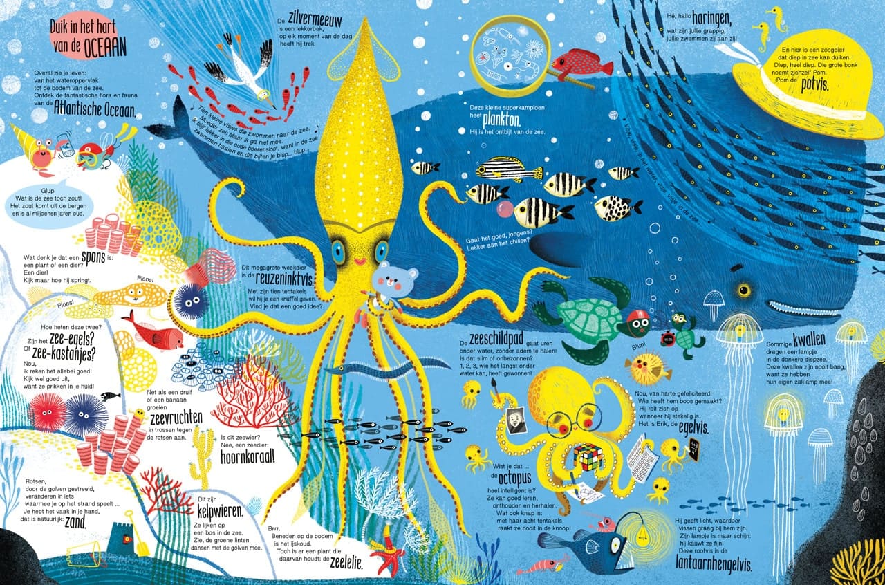 Vol vol natuur | Eenhoorn