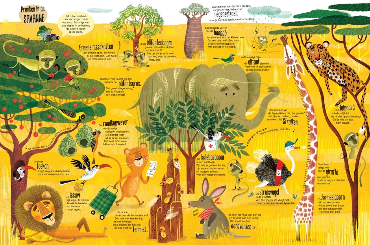 Vol vol natuur | Eenhoorn